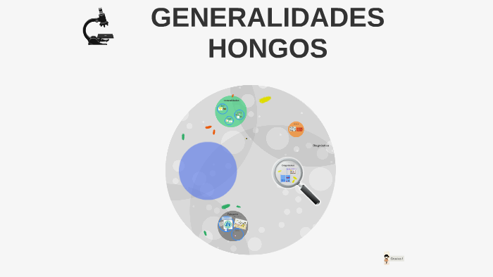GENERALIDADES HONGOS by Julieth Florez on Prezi