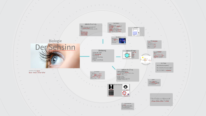 Der Sehsinn by Ariyan Gol on Prezi