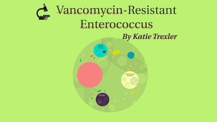 Vancomycin Resistant Enterococcus