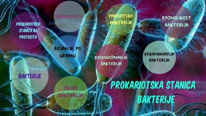 PROKARIOTSKA STANICA-BAKTERIJE by Dragica Predrijevac on Prezi
