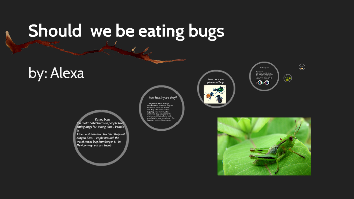 Should we be eating bugs by alexa celiceo on Prezi