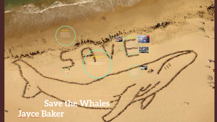 What is it? by jayce baker on Prezi