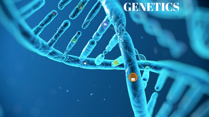 GENETICS: The Science of Heredity by Yumna Jafri on Prezi