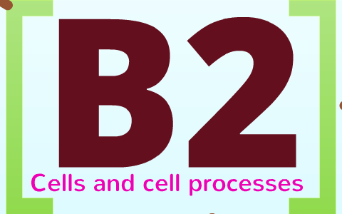 B2 Mind map - Y11 WJEC GCSE Science by Ben Preston on Prezi