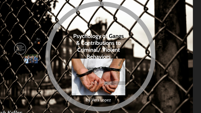 Psychology of Gangs by on Prezi