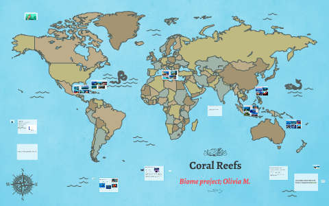 Coral Reefs biome project by Lil McAdams on Prezi