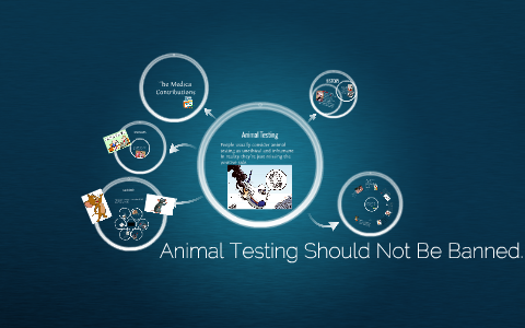 Animal testing should be allowed. by ann qian on Prezi
