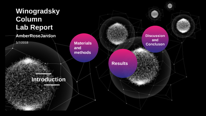 Winogradsky Column Lab Report by AmberRose Janson on Prezi