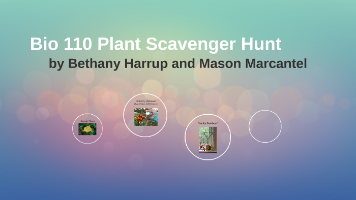 Bio 110 Plant Scavenger Hunt by Mason Marcantel
