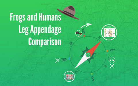 Frogs and Humans Leg Appendages by Finn Larson on Prezi