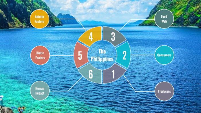 Ecosystem Structure - The Philippines by Garrett Carrasco on Prezi