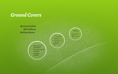 3 Major types of ground cover by Liam Carlson on Prezi