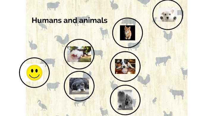 Do animals affect human's emotions? by Emily Mendez on Prezi