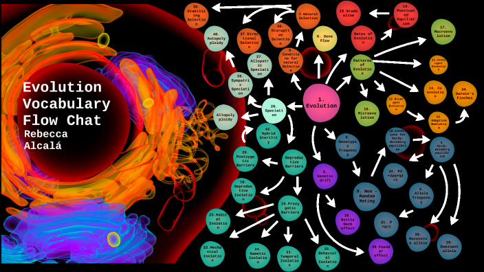 Evolution Flow Chart by Rebecca Alcala on Prezi