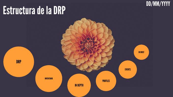 Estructura de la DRP by Ulises Sanchez sanchez on Prezi Next