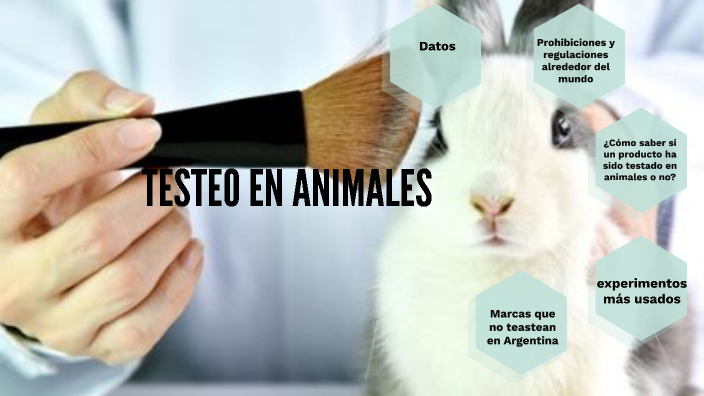 TESTEO EN ANIMALES by Julieta Garcìa on Prezi