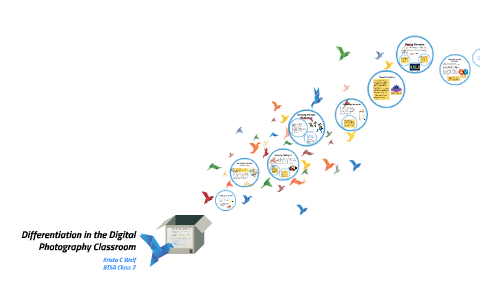 Differentiation in the Digital Photography Classroom by Krista Wolf on ...