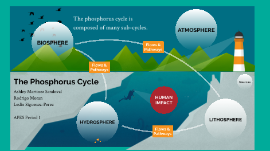 Phosphorus Cycle Ocean