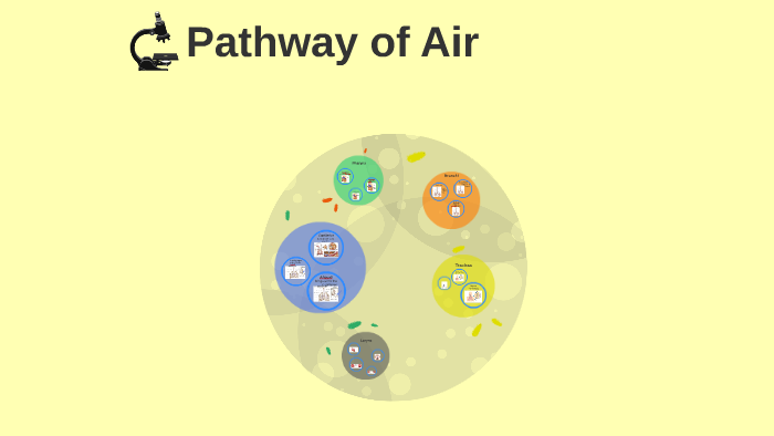 Pathway of Air by brent chambers on Prezi