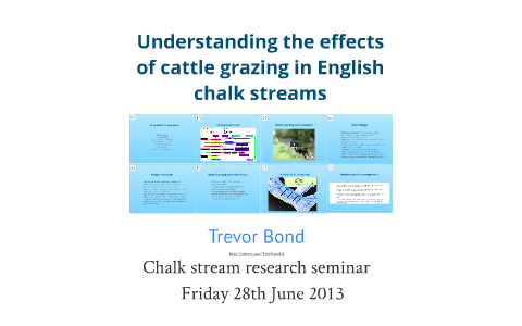 Understanding the effects of cattle grazing in English chalk streams by ...