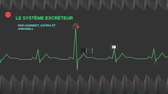 LE SYSTÈME EXCRÉTEUR by Harmeet Kaur on Prezi