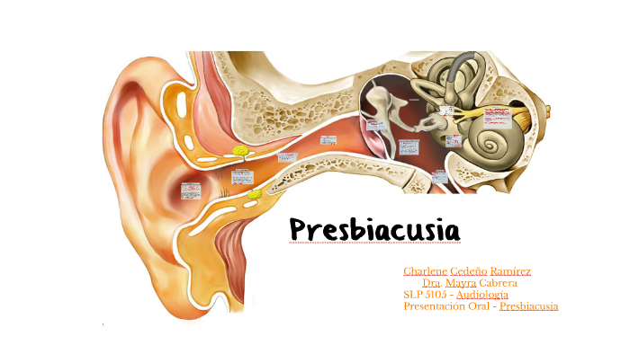 Presbiacusia by Charlene Cedeño Ramírez on Prezi