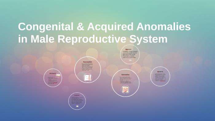 Congenital & Acquired Anomalies in Male Reproductive System by James ...