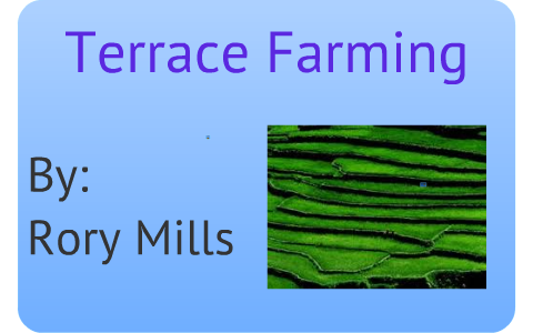 Terrace Farming by rory mills on Prezi