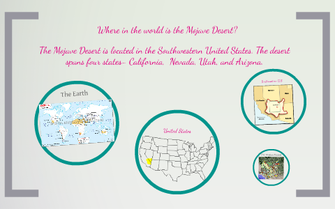 Desert Ecosystem- Mojave Desert by jenna staehing on Prezi