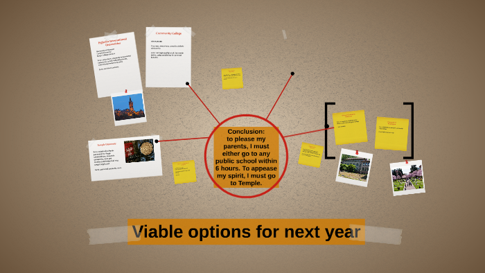 Viable options for next year by amy k