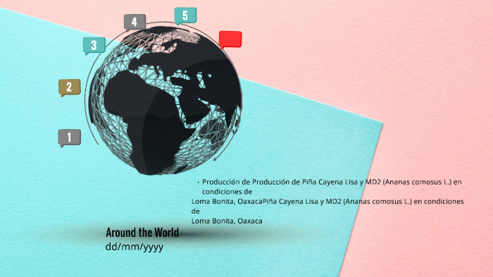 Producción de Piña Cayena Lisa y MD2 (Ananas comosus L.) en condiciones ...