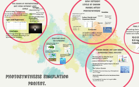 Photosynthesis Simulation Project. by on Prezi