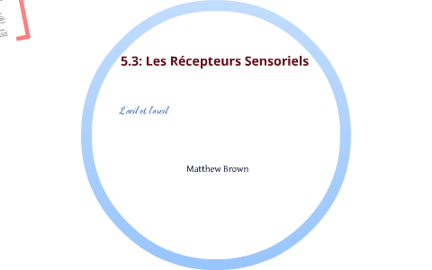 Les récepteurs sensoriels by Allstar SuperStarBoss on Prezi