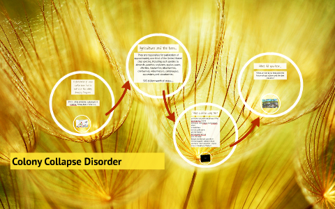 Colony Collapse Disorder by on Prezi