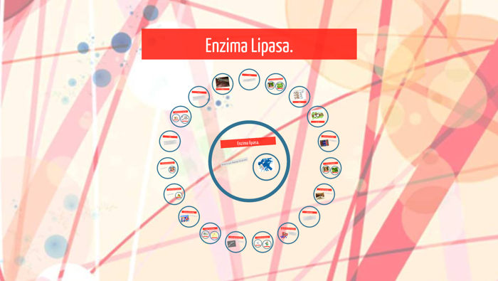 Enzima Lipasa. by tania macias on Prezi