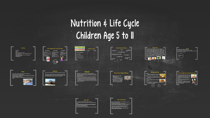 Nutrition & Life Cycle by Hanna Lintott on Prezi