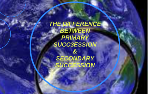 THE DIFFERENCE BETWEEN by raul marrufo on Prezi