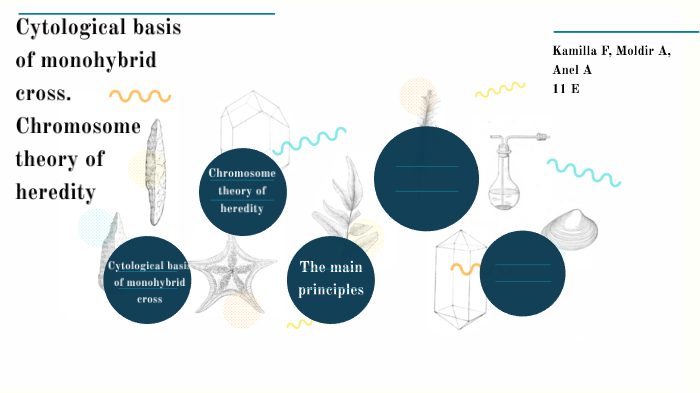 Dihybrid and polyhybrid cross by Kamilla Faizrakhman on Prezi
