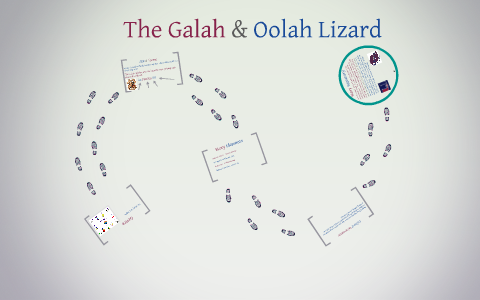 The Galah & Oolah Lizard by on Prezi