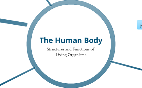 Human Body Unit Concept Map by Beth Ammons on Prezi