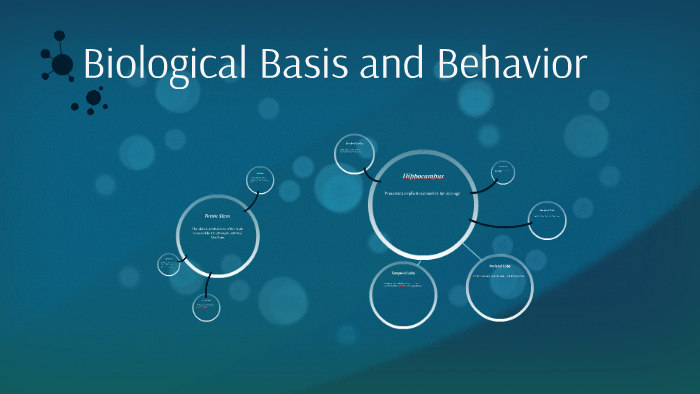Biological Basis and Behavior by Raychel Palmadesso on Prezi