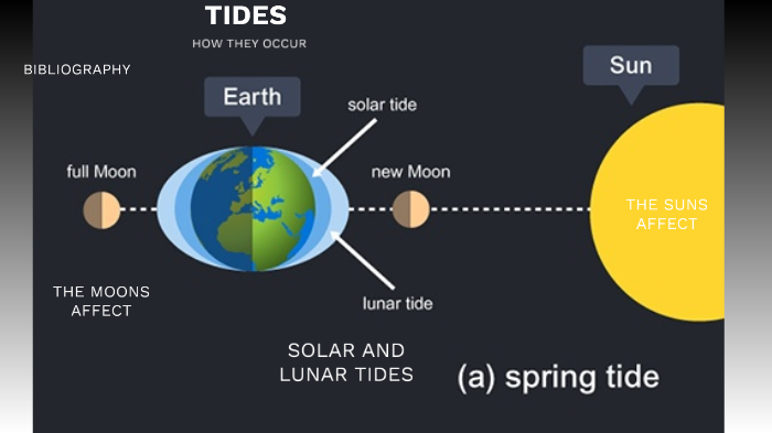 Science, Tides by Ty Fitzgerald on Prezi