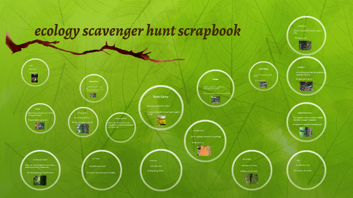 ecology scavenger hunt scrapbook by Jorge Loyola on Prezi