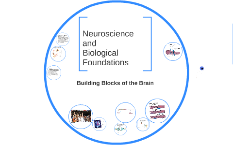 © 2012 John Wiley & Sons, Inc. All rights reserved. by tim griffin on Prezi