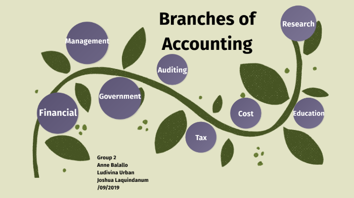 Branches of Accounting by Anne Christelle Balallo on Prezi