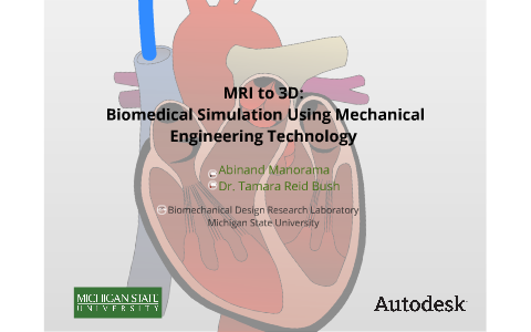 MRI to 3D - Biomedical simulation using Mechanical Engineering ...