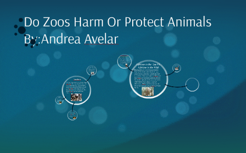 Do Zoos Harm Or Protect Animals by Jenkins Elementary on Prezi