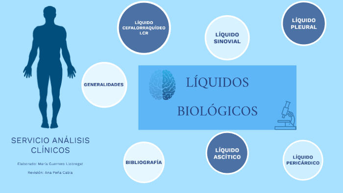 LÍQUIDOS BIOLÓGICOS by Maria guerrero on Prezi