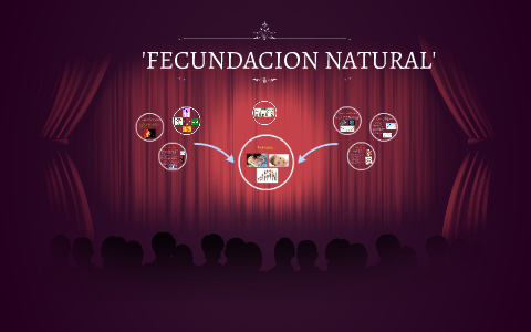 'FECUNDACION NATURAL' by Rosa Zazocoteco on Prezi