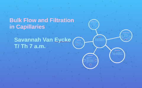 Bulk Flow and Filtration in the Capillaries by Savannah V on Prezi